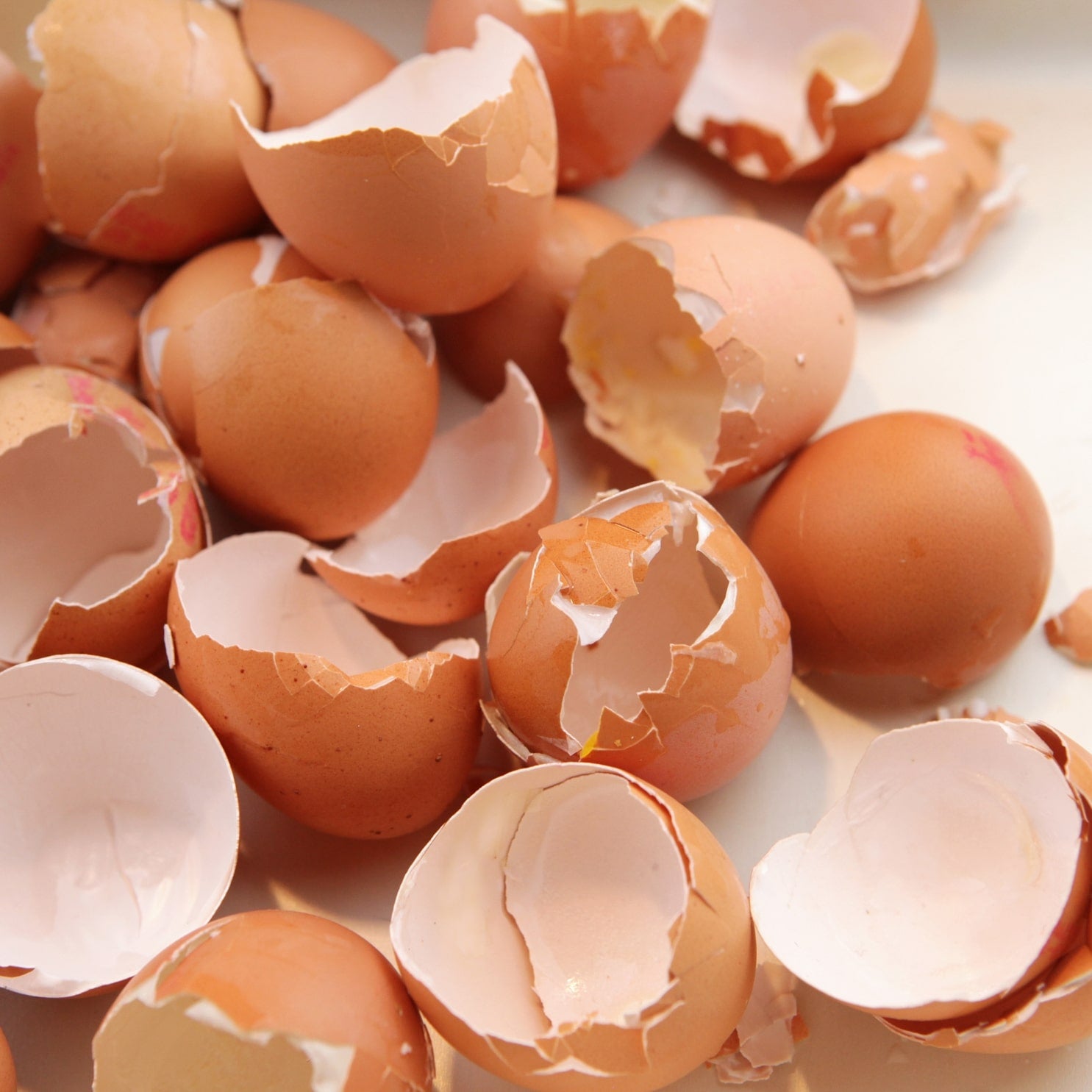 Zero Waste Eggshell Hack to transform cookware, nourish plants and sha ...